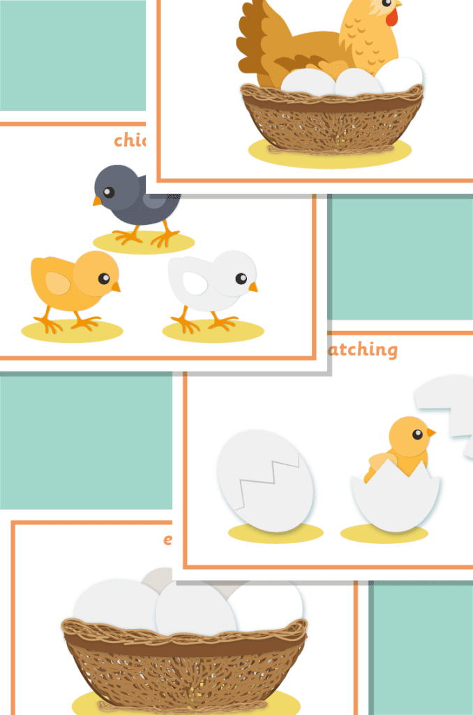 Spring Teaching Ideas / Resources