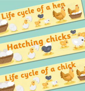 Early Learning Resources Spring Teaching Ideas / Resources